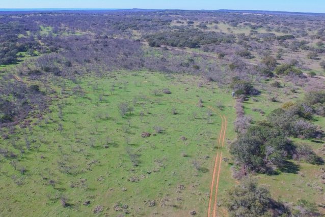 20-ac-cherokee-tx hill country hunting fishing ranch tree oak exotics