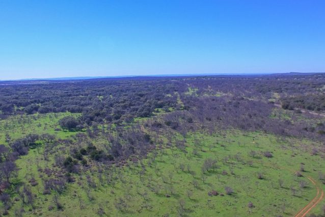 20-ac-cherokee-tx hill country hunting fishing ranch tree oak exotics
