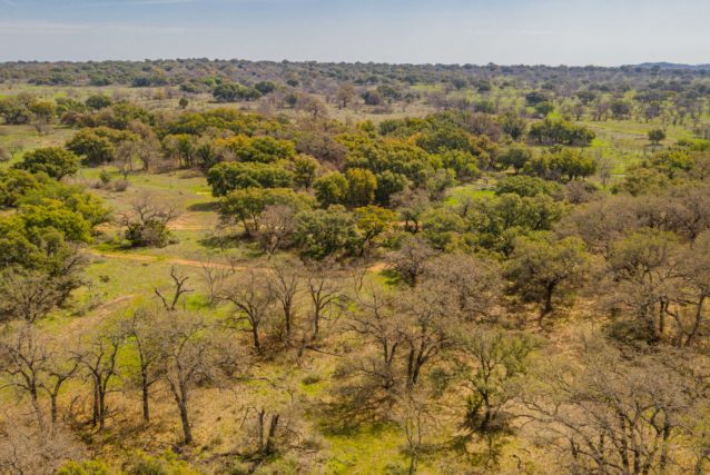 66 Ac. Huber Branch Creek Ranch - Texas Hill Country | Virdell Real Estate